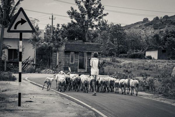 India's leading Professional Photography Online Community