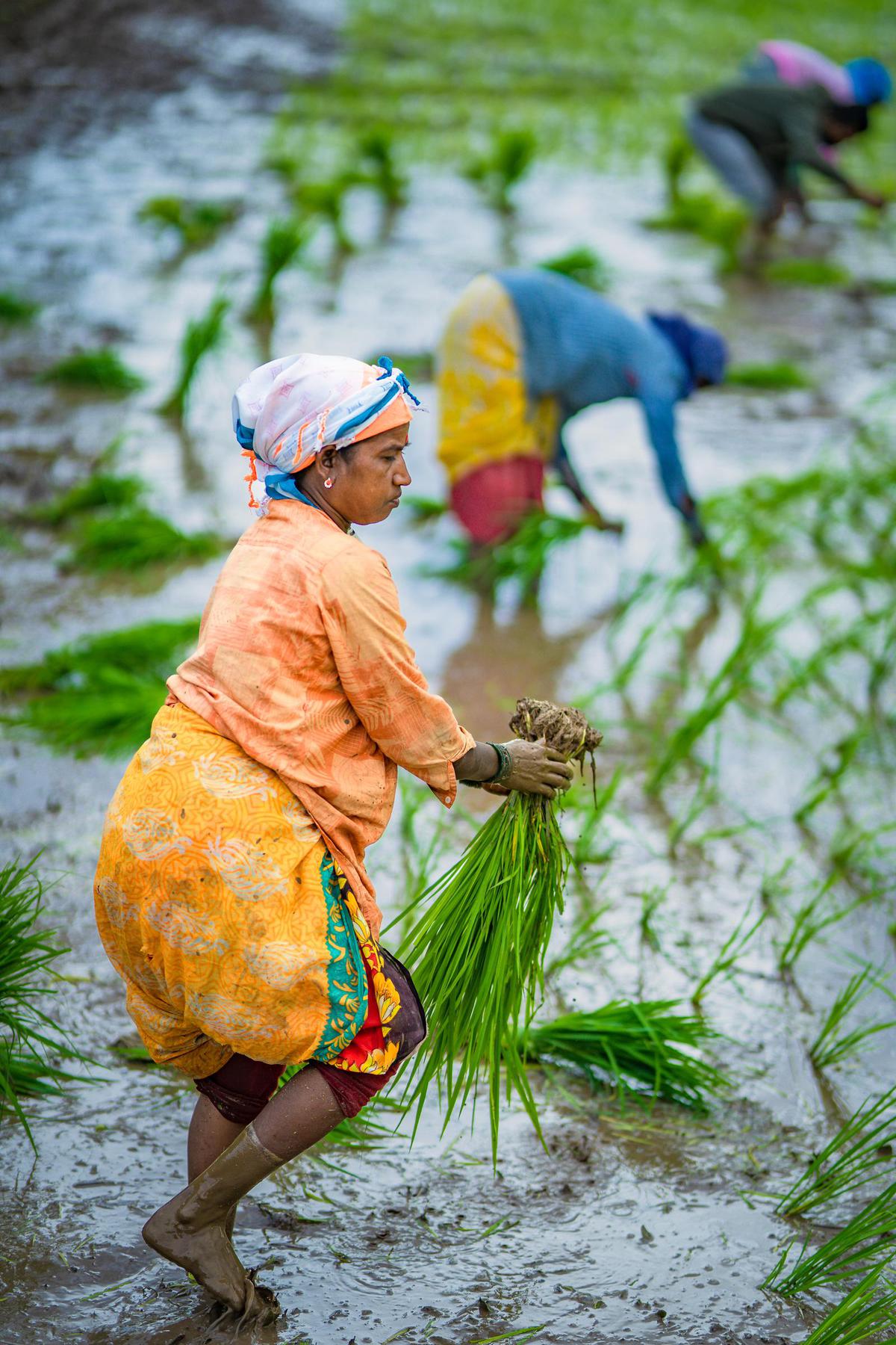 Alpha Community | Professional & amateur photo Gallery