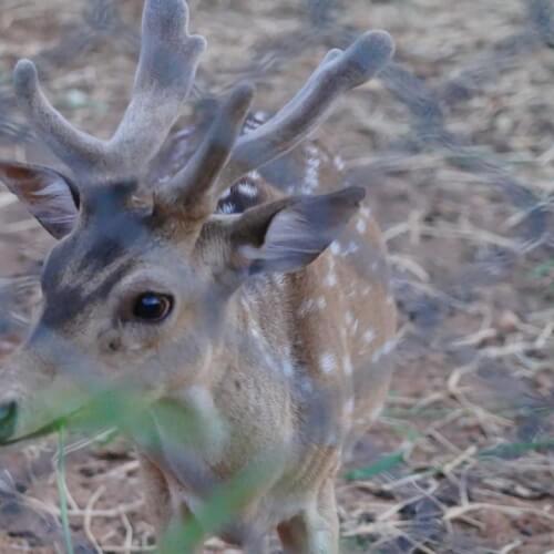 Arun Varma | Photography Community Member | Sony Alpha Community