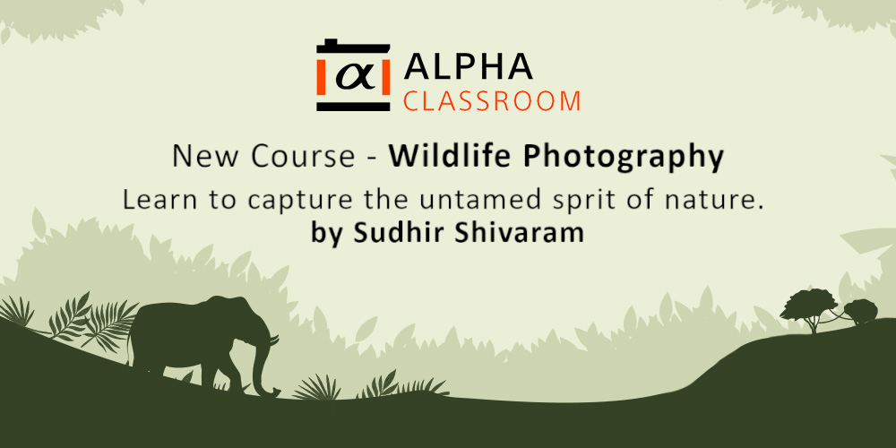 India's Professional Photography Online Community | Sony Alpha Community